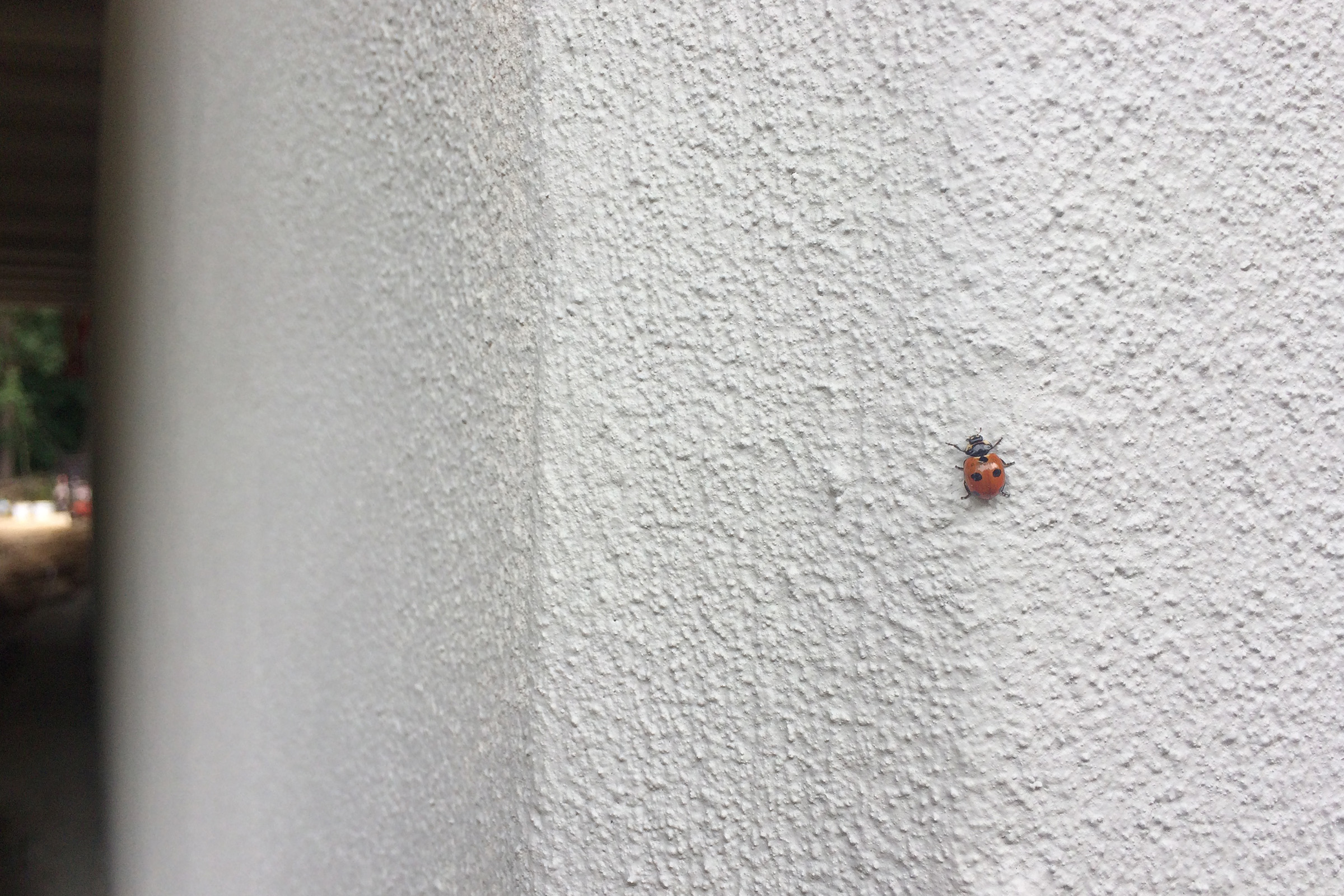 StoCrete TF 280 | Sto